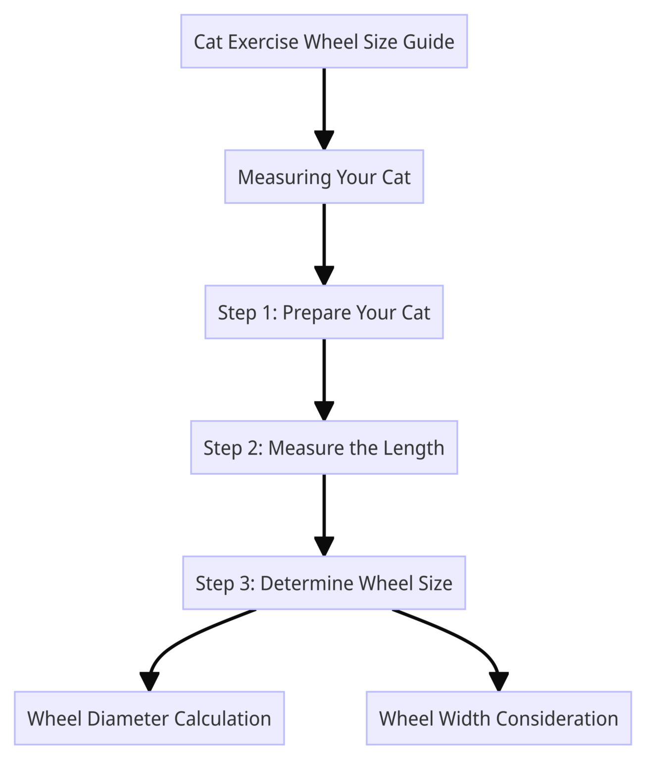 How to Choose the Right Cat Exercise Wheel for Your Furry Friend