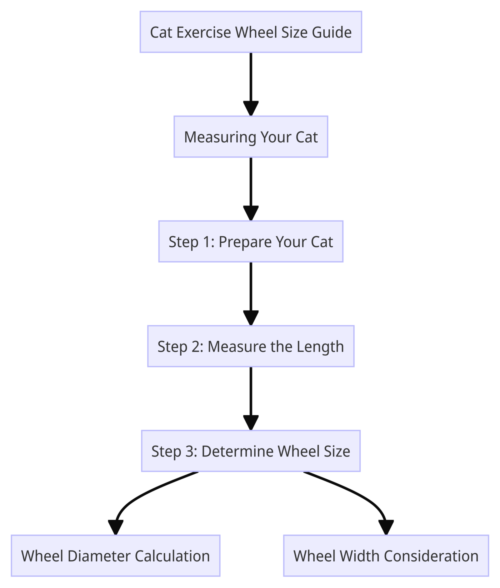 How to Choose the Right Cat Exercise Wheel for Your Furry Friend