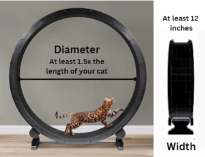 How to Choose the Right Cat Exercise Wheel for Your Furry Friend