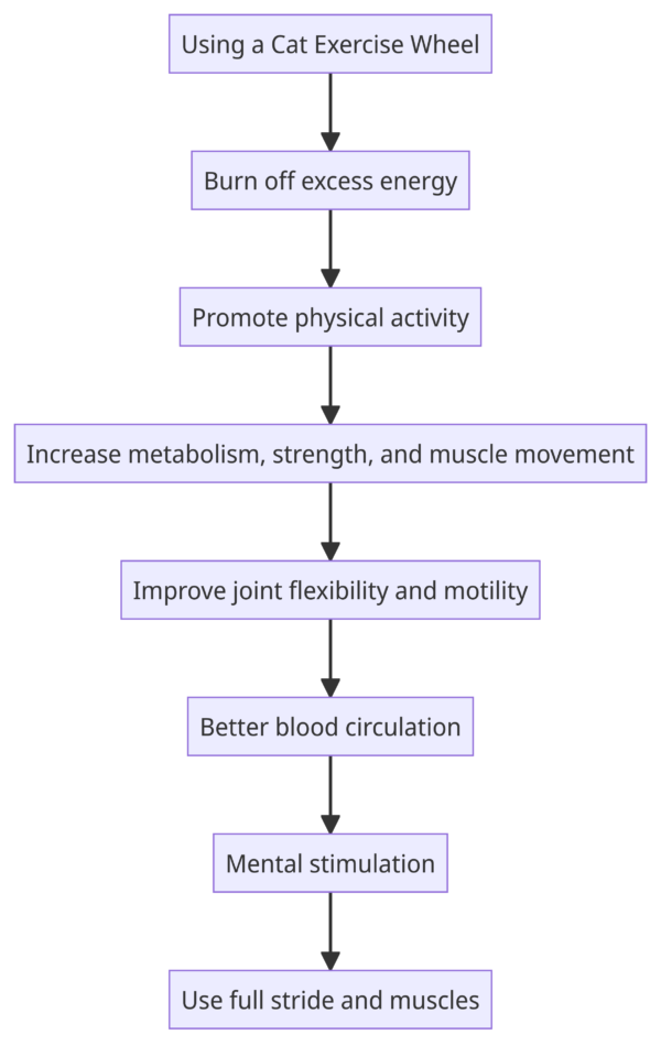 The Ultimate Guide to Cat Exercise Wheels