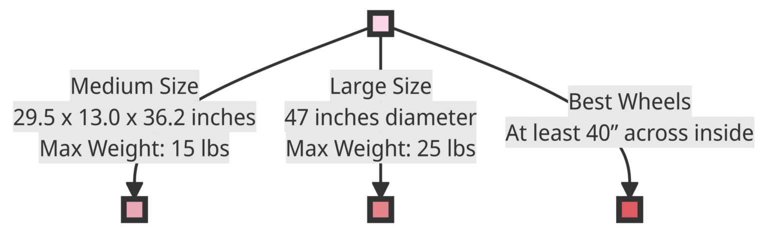 The Ultimate Guide to Cat Exercise Wheels