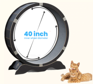 The 4 Best Cat Exercise Wheels: From Cat naps to Cat laps