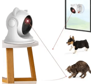 17 Indoor Cat Exercise Ideas: From Couch Potato to Cat Athlete