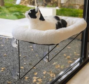 Finding the Best Cat Desk Bed for Your Feline Friend: The Purr-fect ...