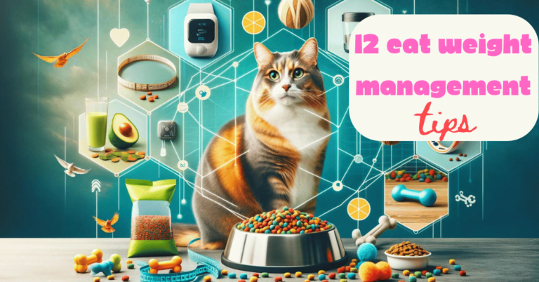 Cat Calorie Calculator: Balancing Treats and Meals for Optimal Health