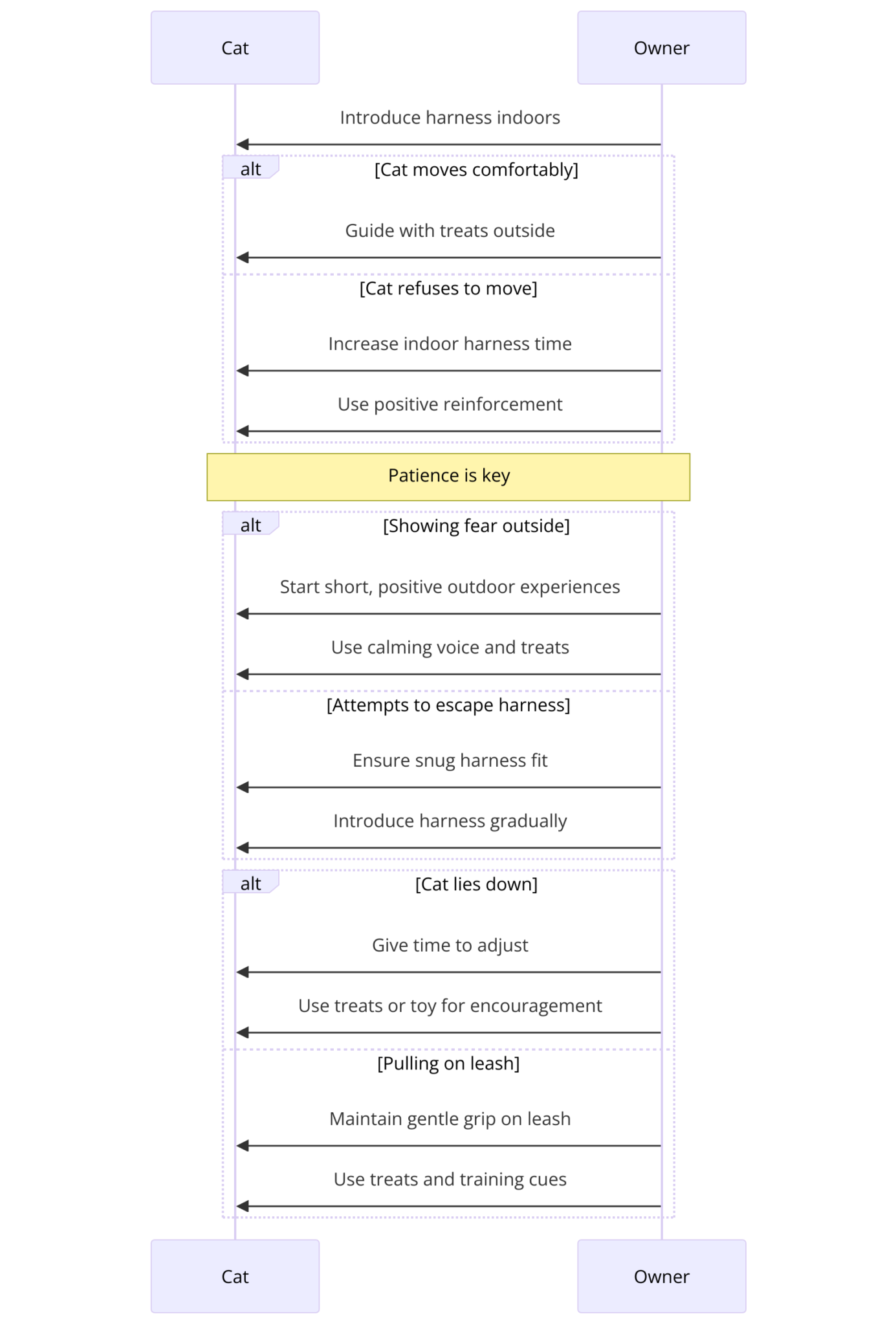 Step-By-Step: How to Leash Train a Cat for Safe Explorations
