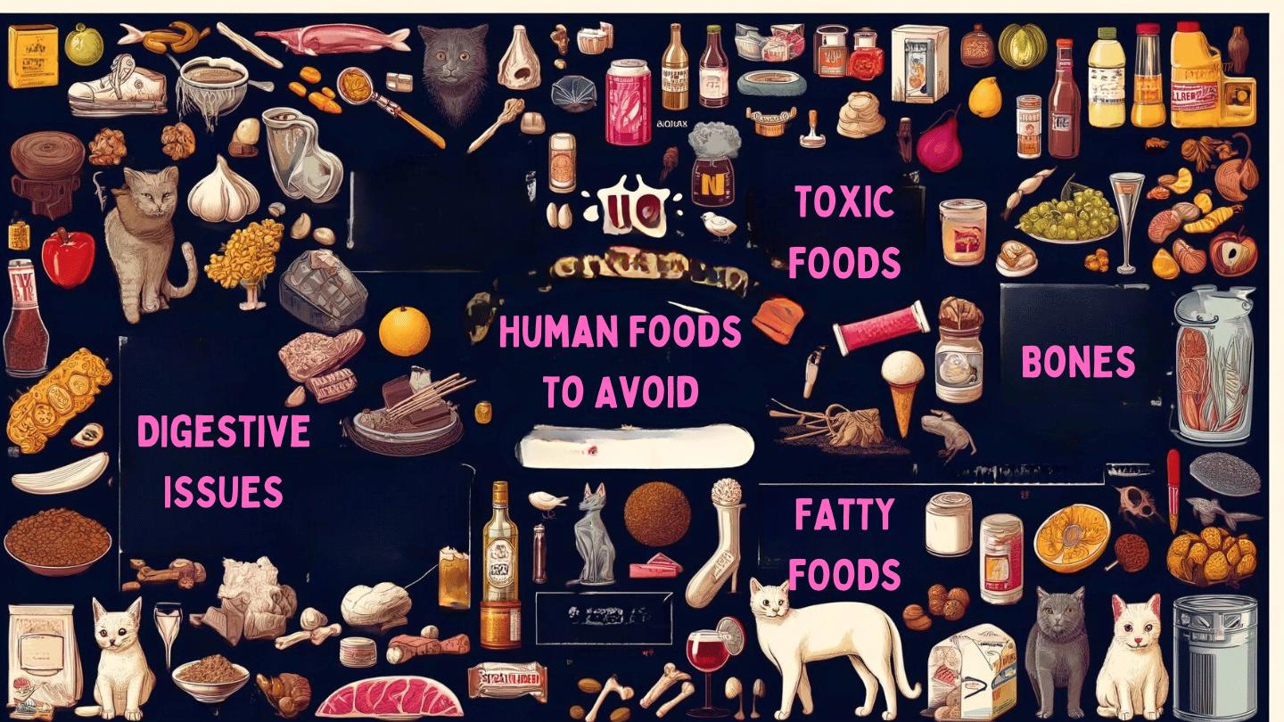 What Human Foods Can Cats Eat? A Guide to 20 Cat-Safe Snacks