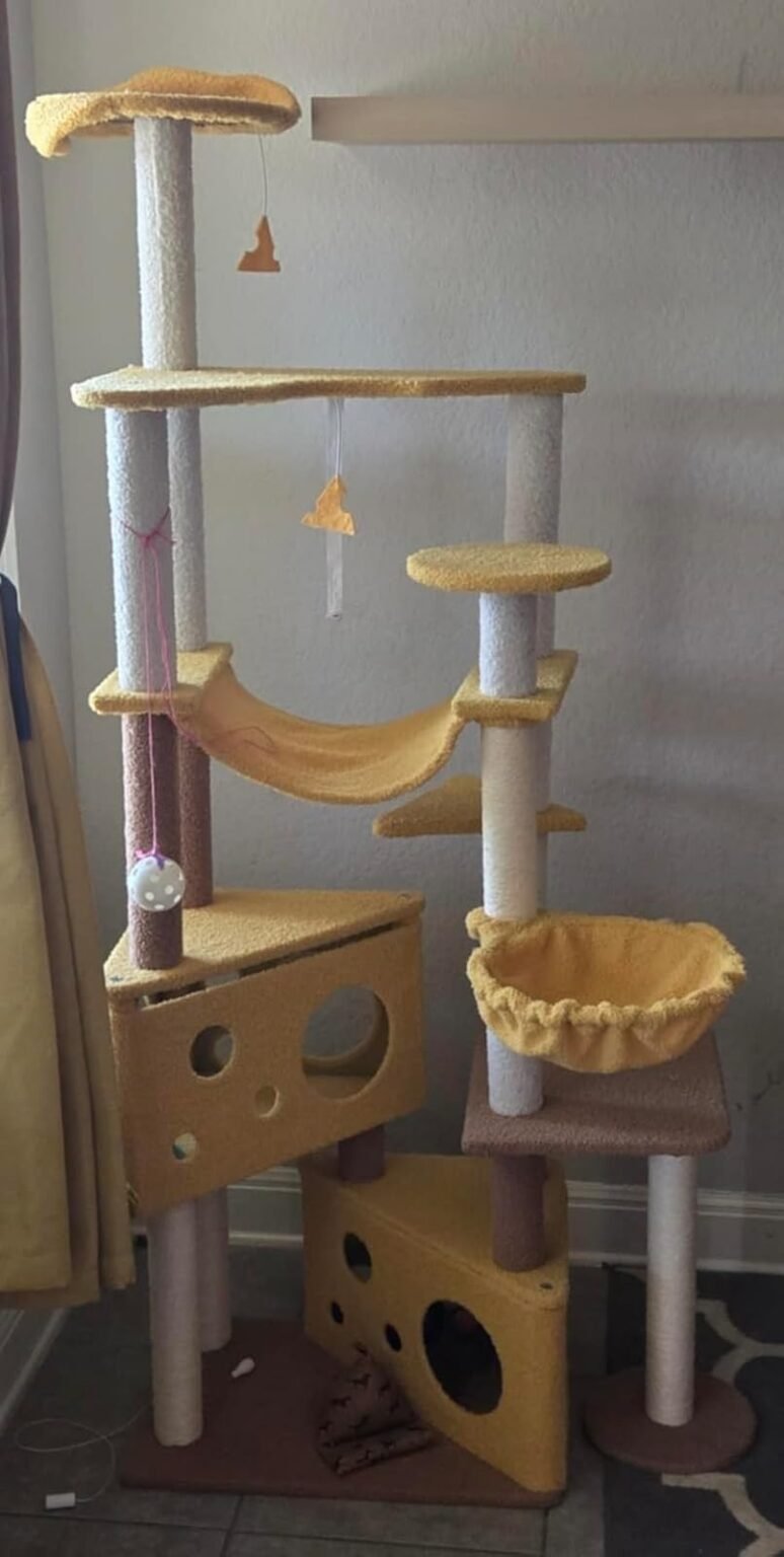 7+ Best Amazon Cat Trees Under $100 (That You’ll Be Proud to Own)