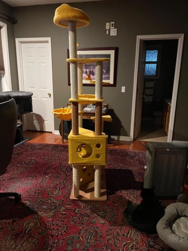 7+ Best Amazon Cat Trees Under $100 (That You’ll Be Proud to Own)