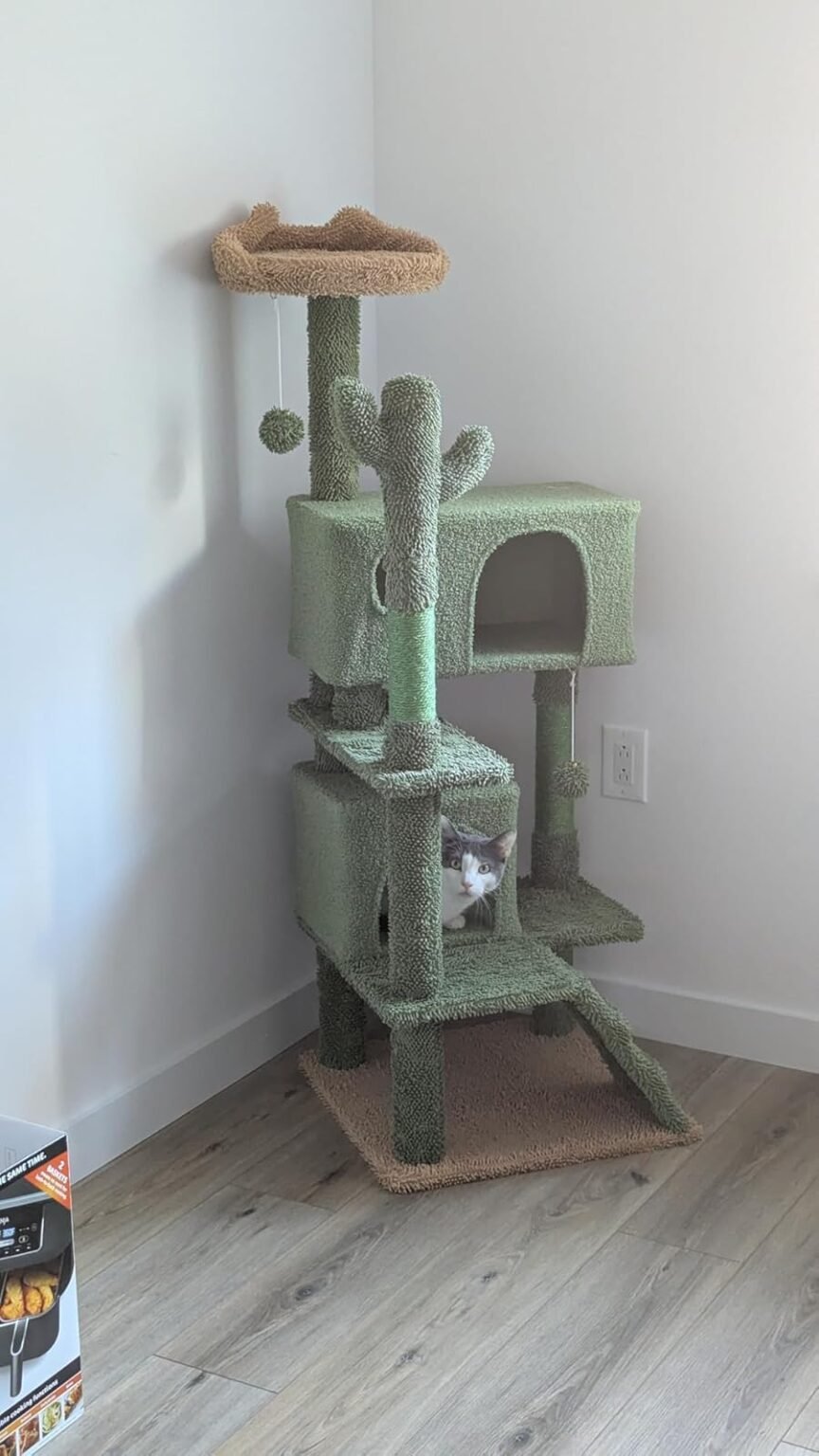 7+ Best Amazon Cat Trees Under $100 (That You’ll Be Proud to Own)