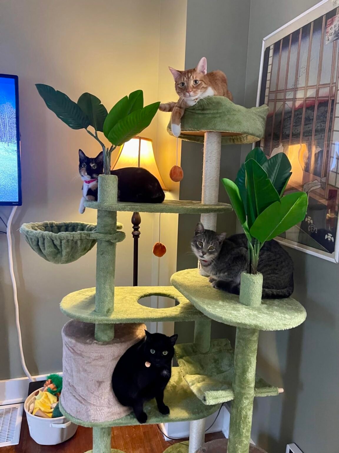 7+ Best Amazon Cat Trees Under $100 (That You’ll Be Proud to Own)